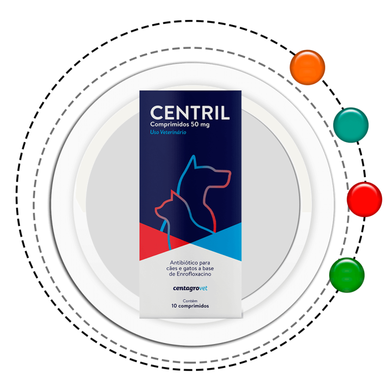 Centril Oficial – Conectapet